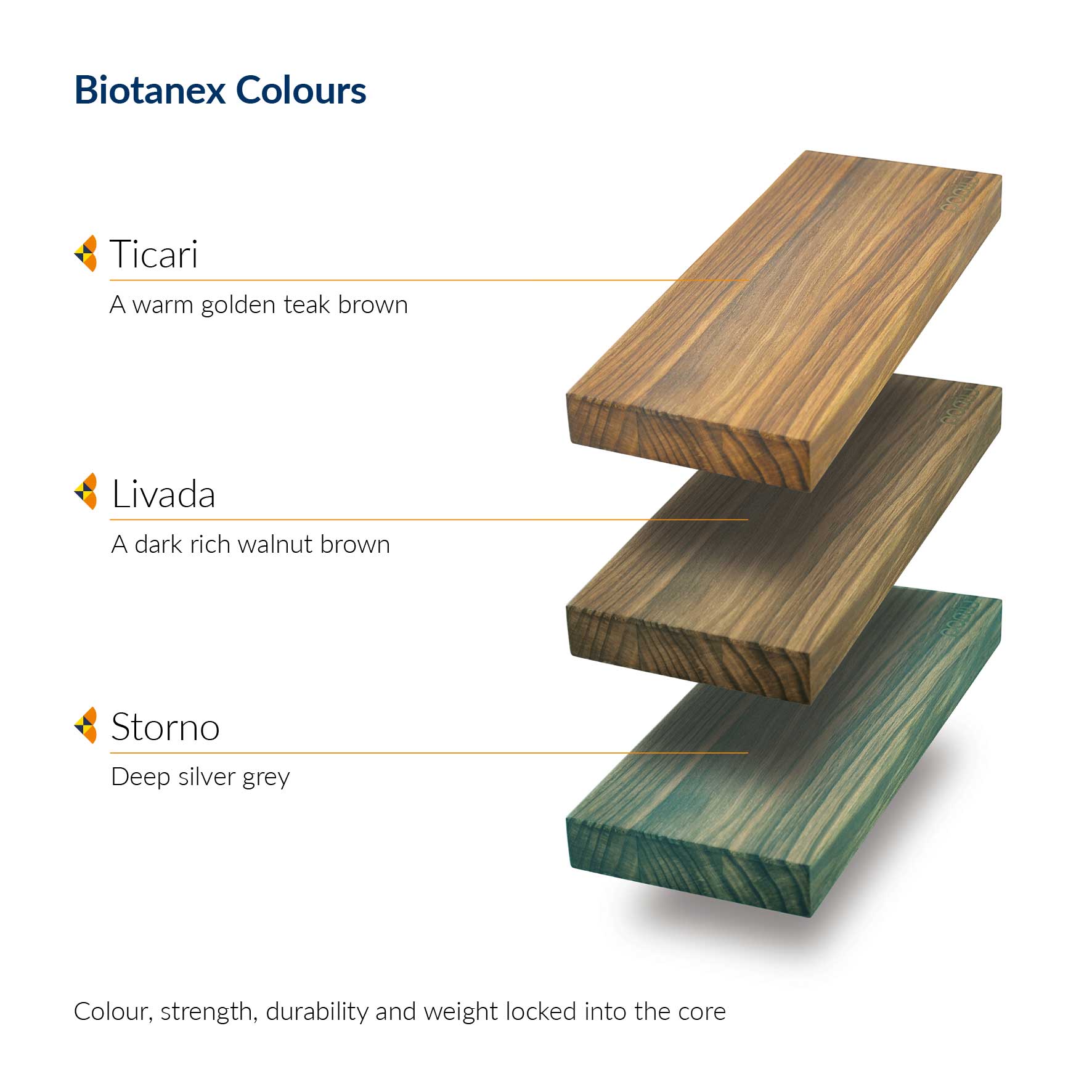 Biotanex Brochure | Biotanex